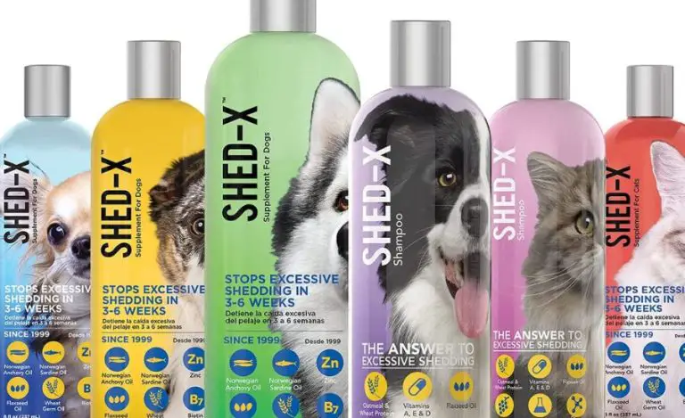 9 Best Deshedding Shampoo For Dogs